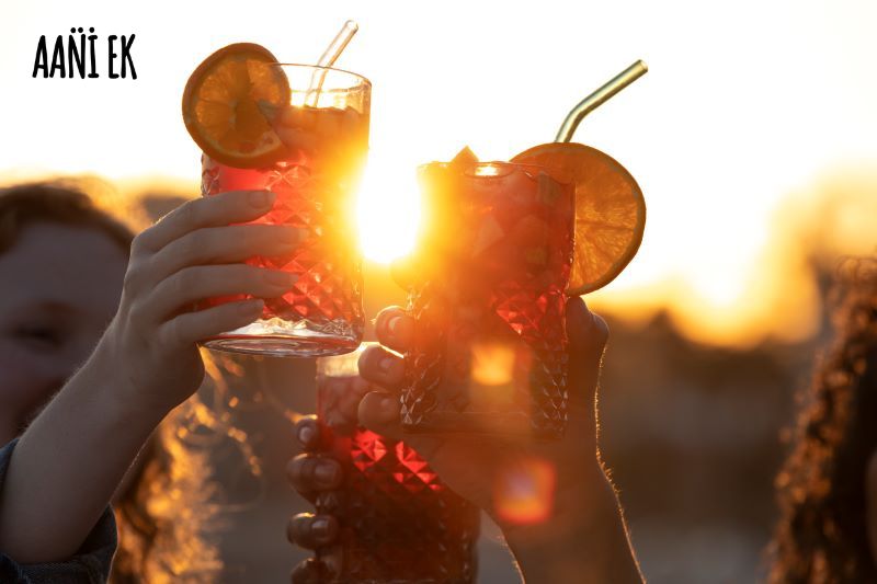 Best Alcohol in Goa | Which is the Best Alcohol to Drink in Goa?