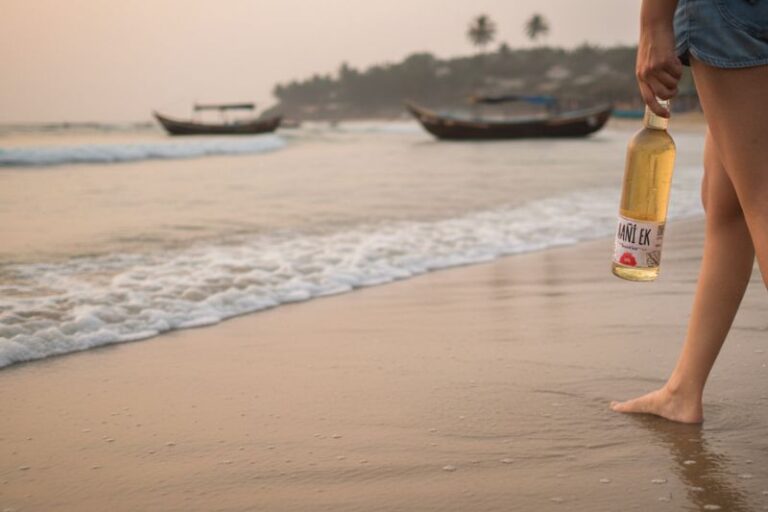 A Local’s Guide to Goa’s Best Alcohol & Drinks | Aani Ek